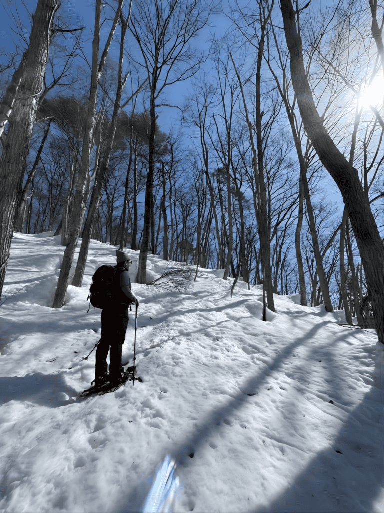Hakuba Snowshoe Tours - Hakuba